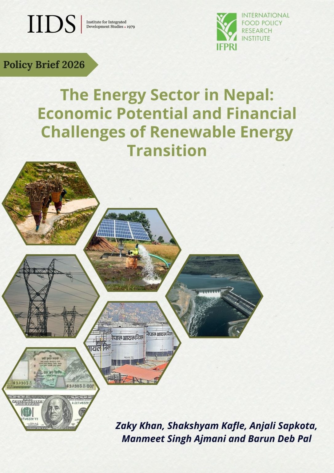 The Energy Sector in Nepal: Economic Potential and Financial Challenges ...